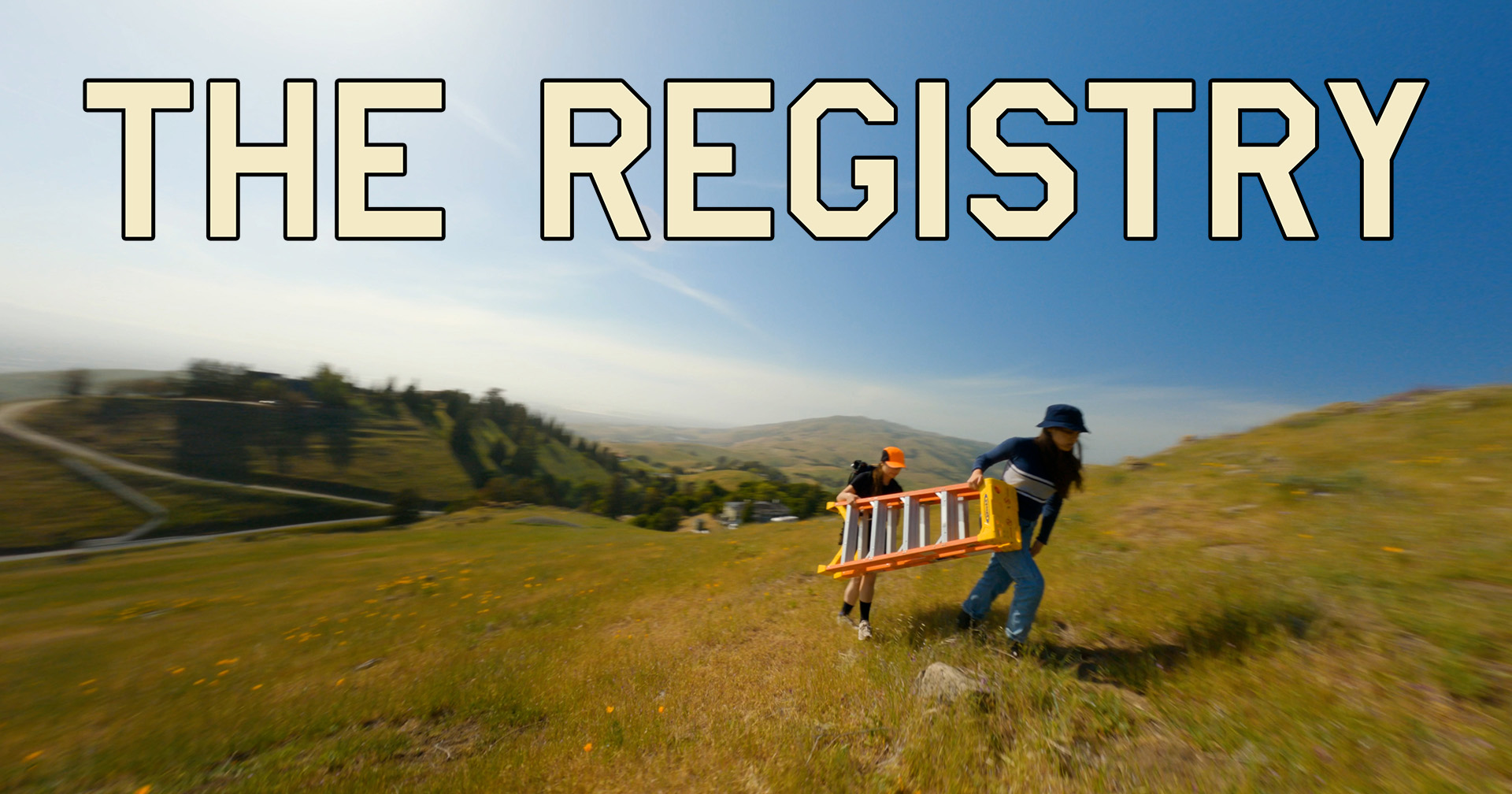 MEMORY — Alex Tyson's THE REGISTRY